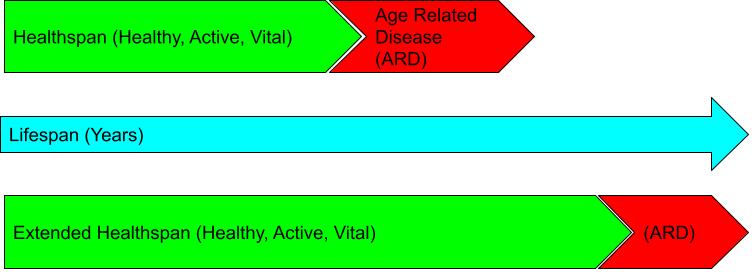 Healthspan vs. Lifespan – Swailes Primal Health
